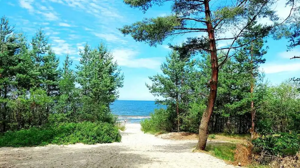 Mierzeja Wiślana: 10 turystycznych atrakcji, które warto zobaczyć - Kobieta